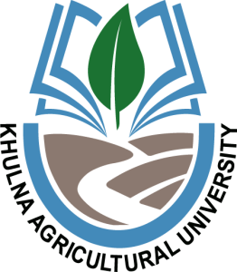 Undergraduate Programs Admission Information | KAU